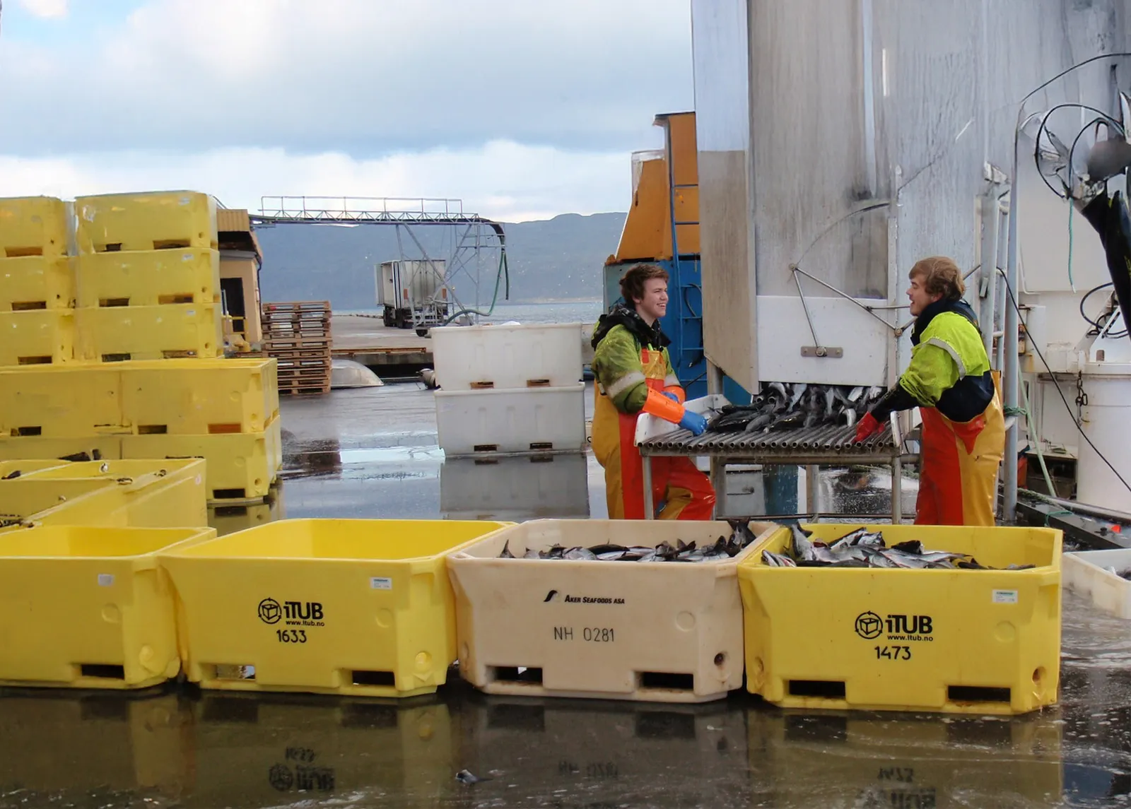 Fishing Industry Handling Equipment | Inoxtruck by ULMA Lifting